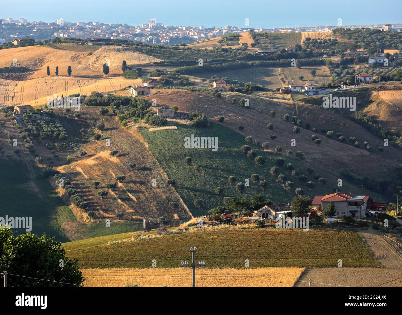 Panoramic view of olive groves and farms on rolling hills of Abruzzo ...
