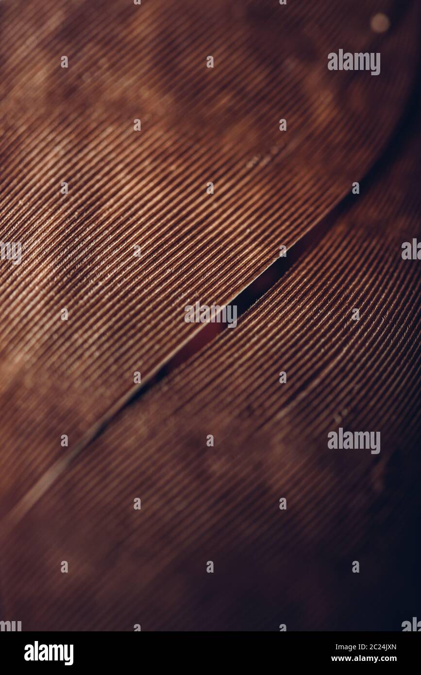 Eagle feather texture hi-res stock photography and images - Alamy