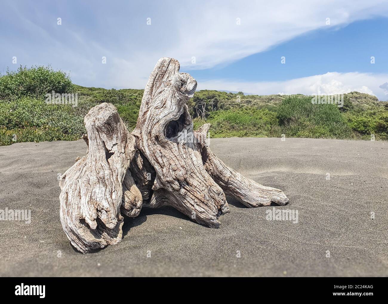 Pier stump hi-res stock photography and images - Alamy
