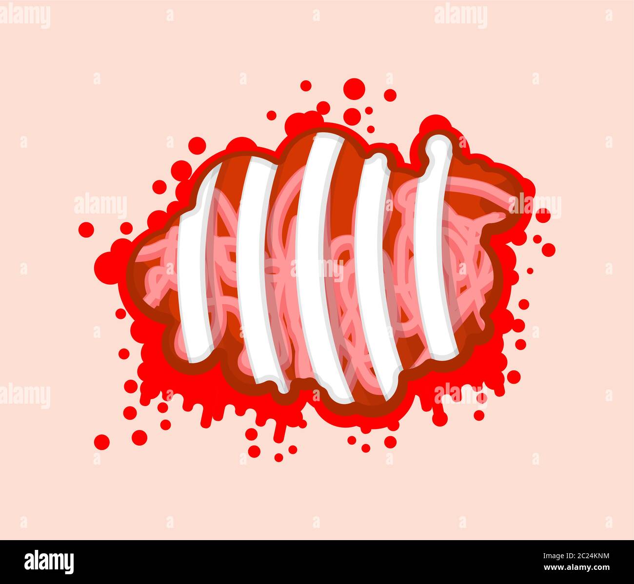 Torn belly wound. Zombie Bite Ribs and internal organs, intestines ...