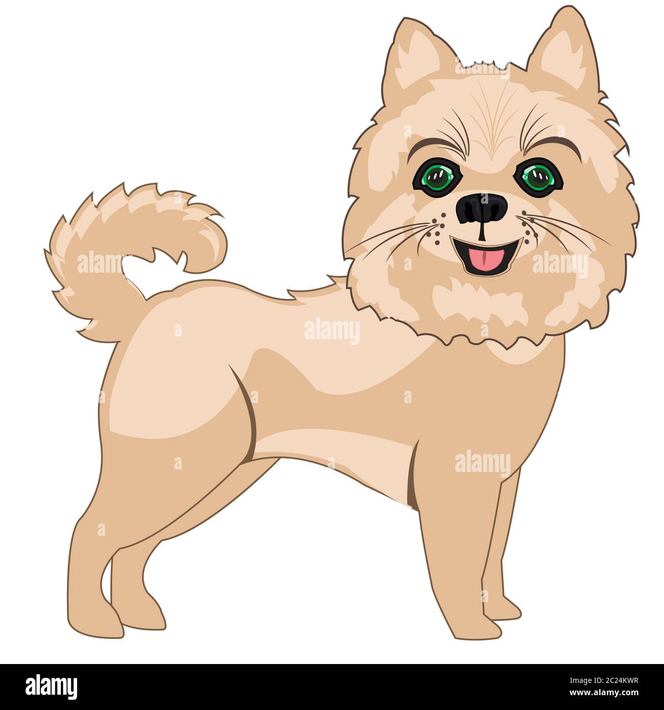 Spitz Dog Cartoon Illustration High Resolution Stock Photography and ...