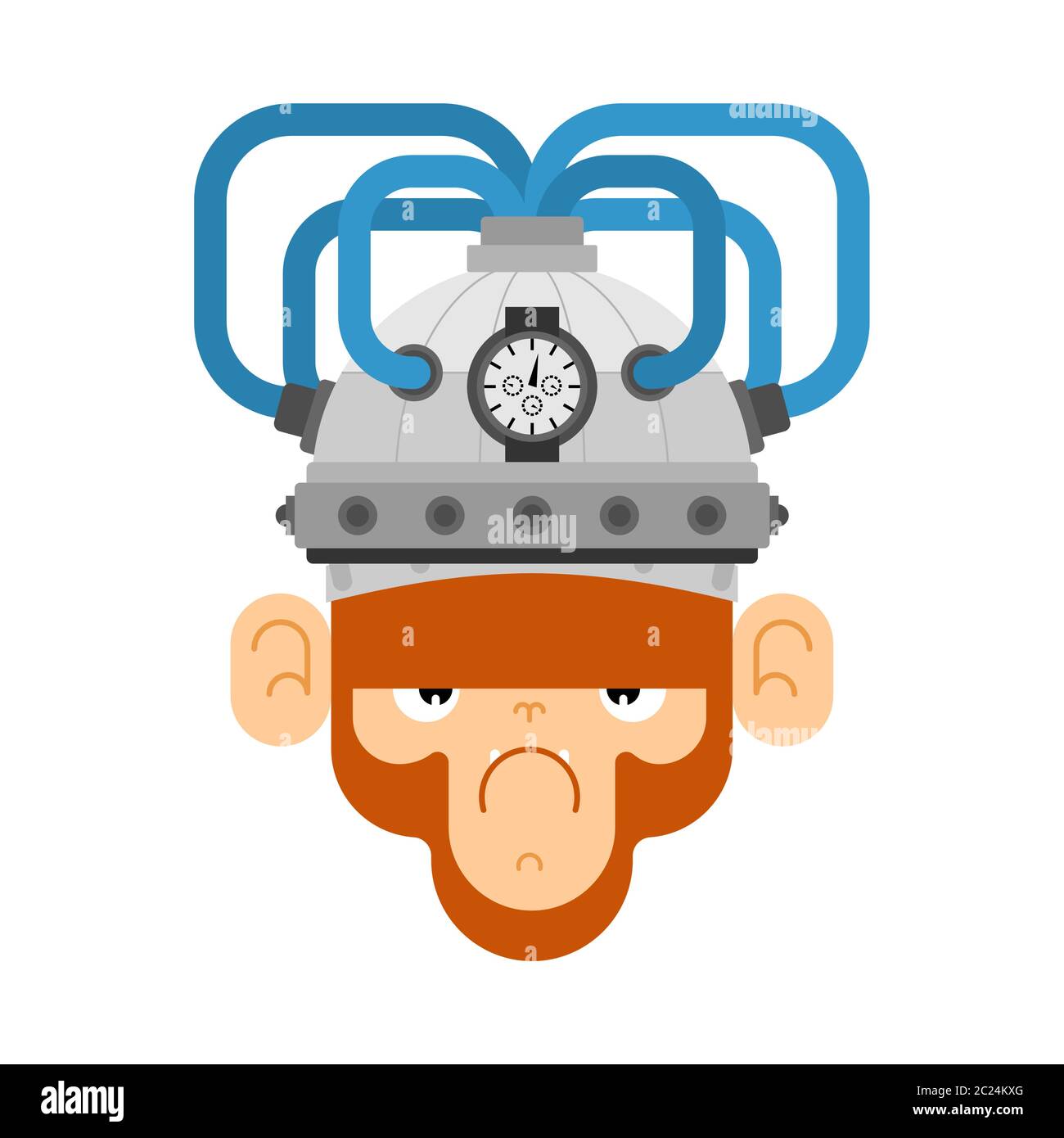 Monkey and brain stimulation helmet. Apparatus Electronic action on ...