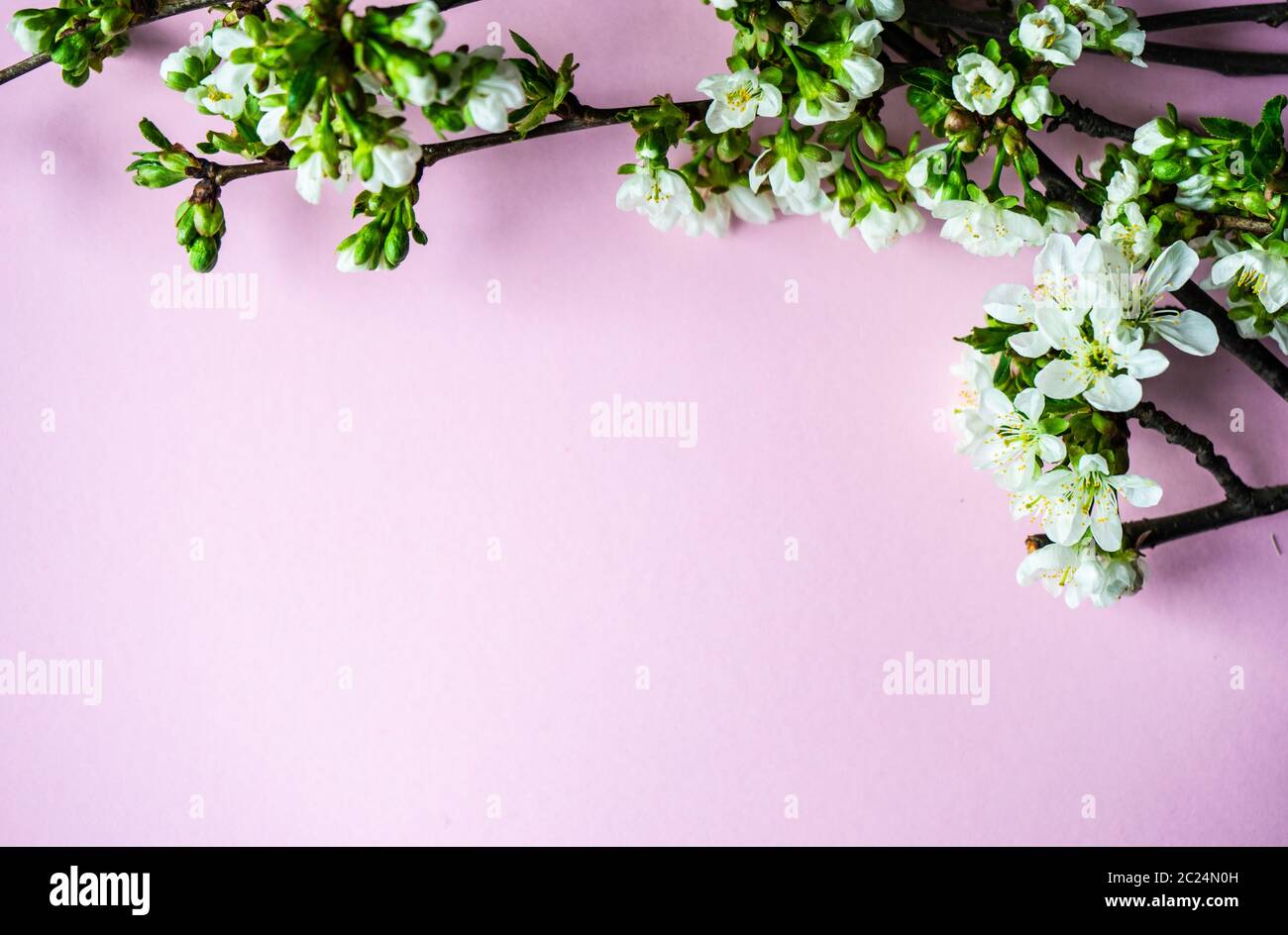 Spring floral frame Stock Photo - Alamy