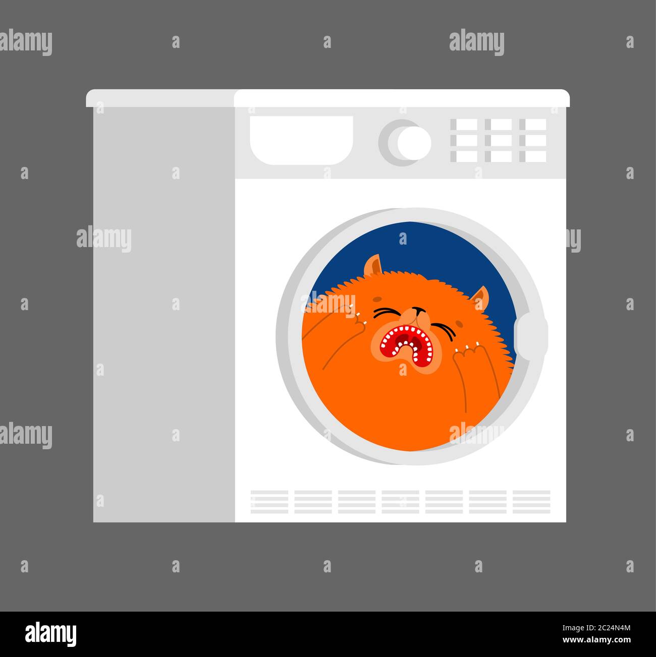 Washing Machine Cat Stock Vector Images - Alamy