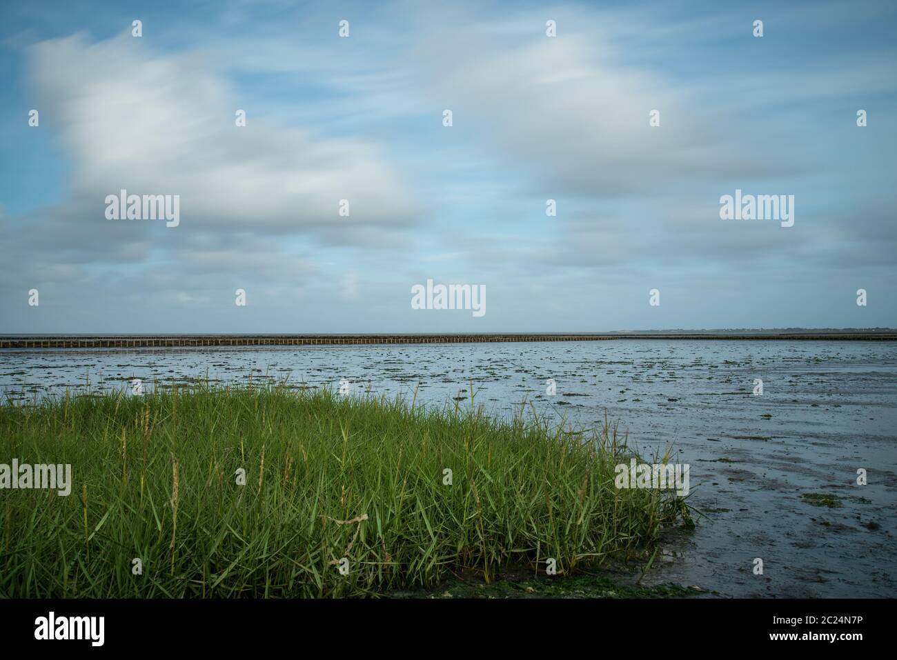 Long grasses north sea coast hi-res stock photography and images - Alamy