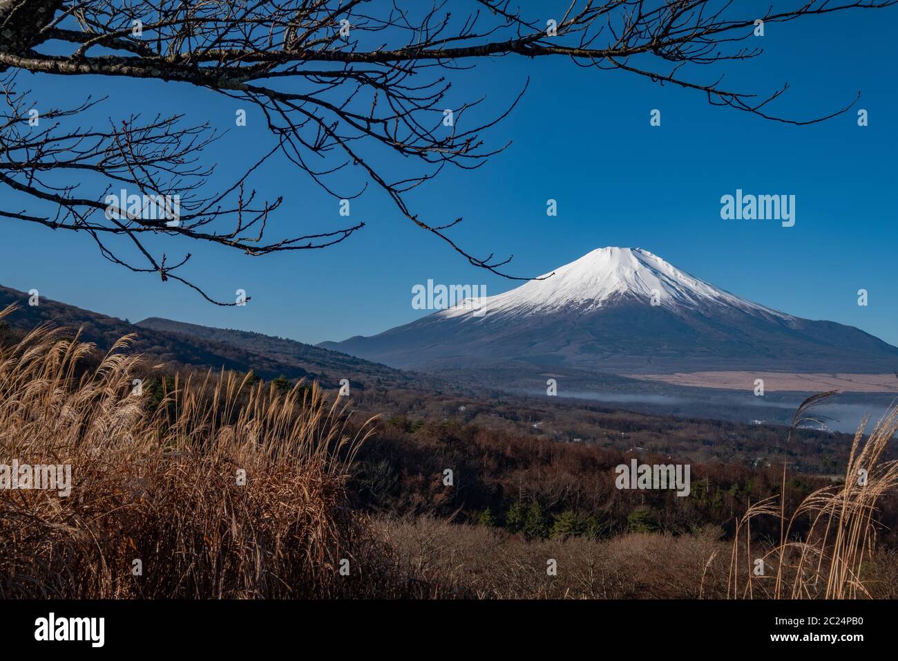 The majestic snow capped Mount Fuji, Japan Stock Photo - Alamy