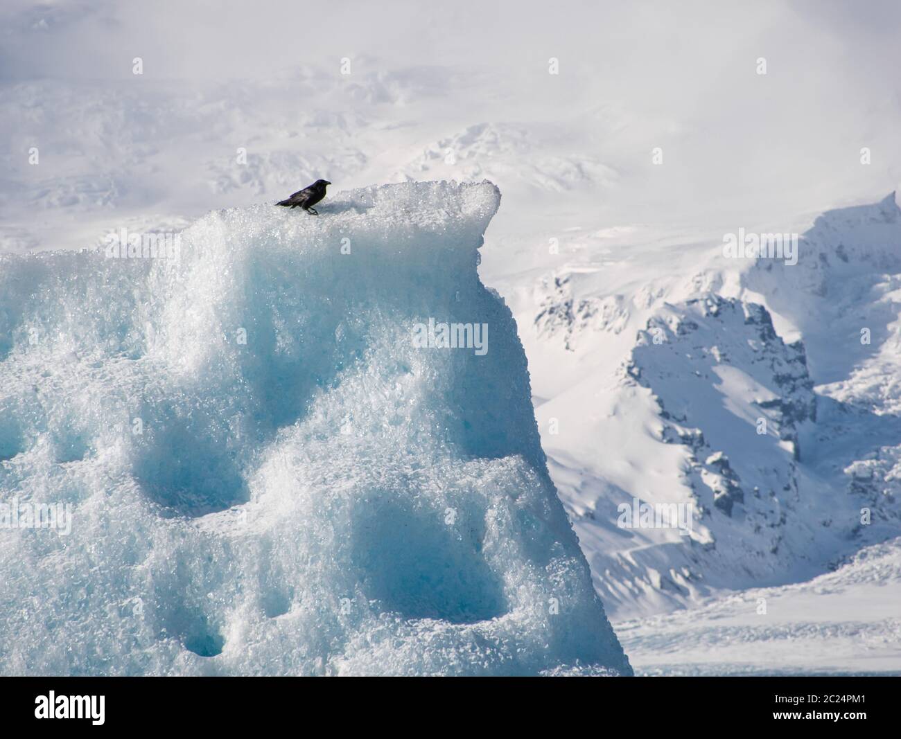 Crow glacier hi-res stock photography and images - Alamy