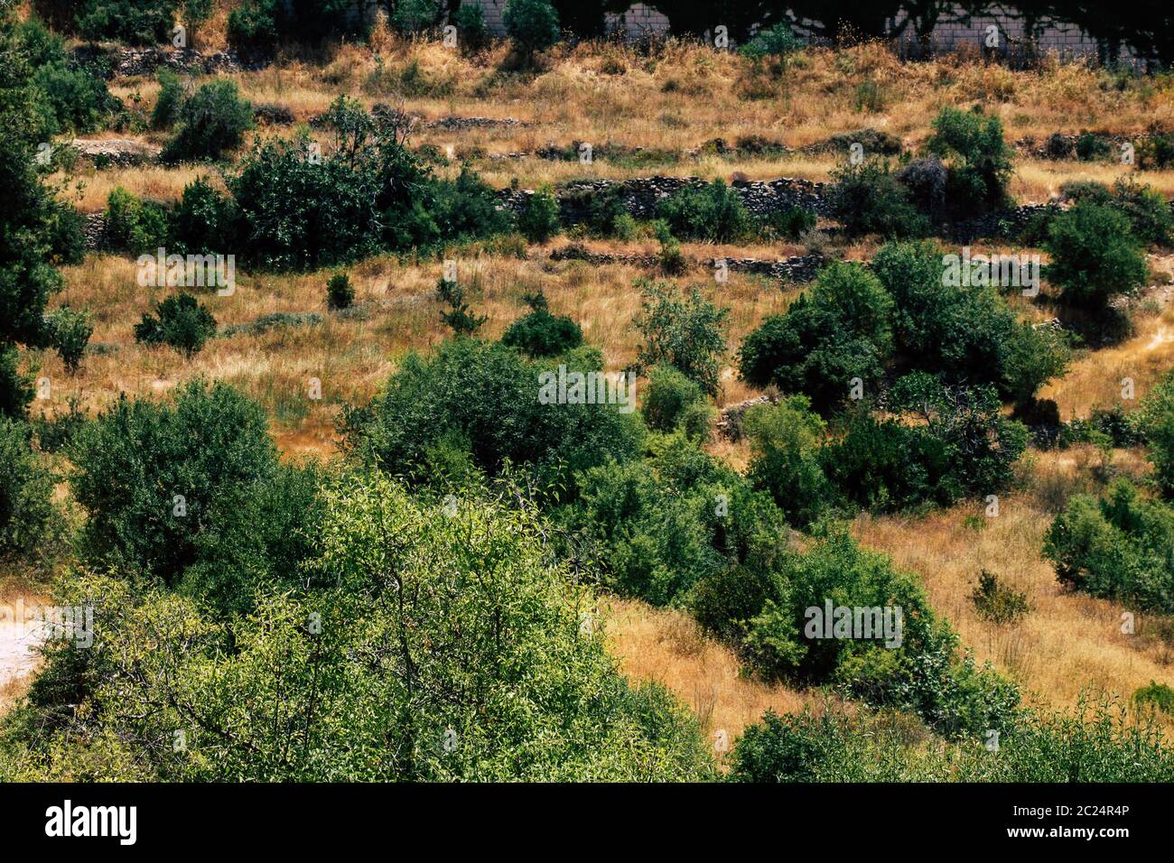 Jerusalem Israel June 21, 2019 View of the landscape and nature at ...