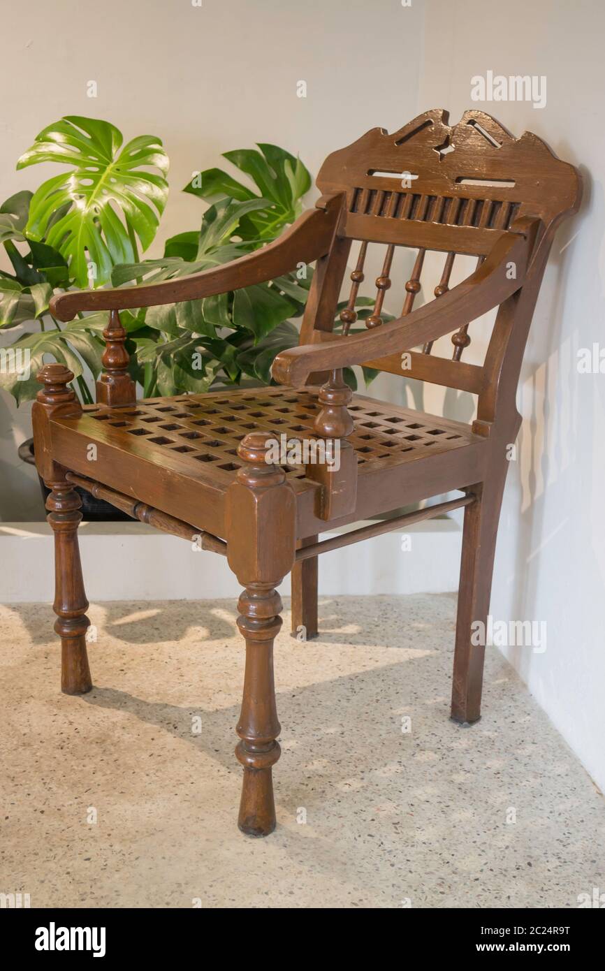 Tropical green plant pot interior, stock photo Stock Photo - Alamy