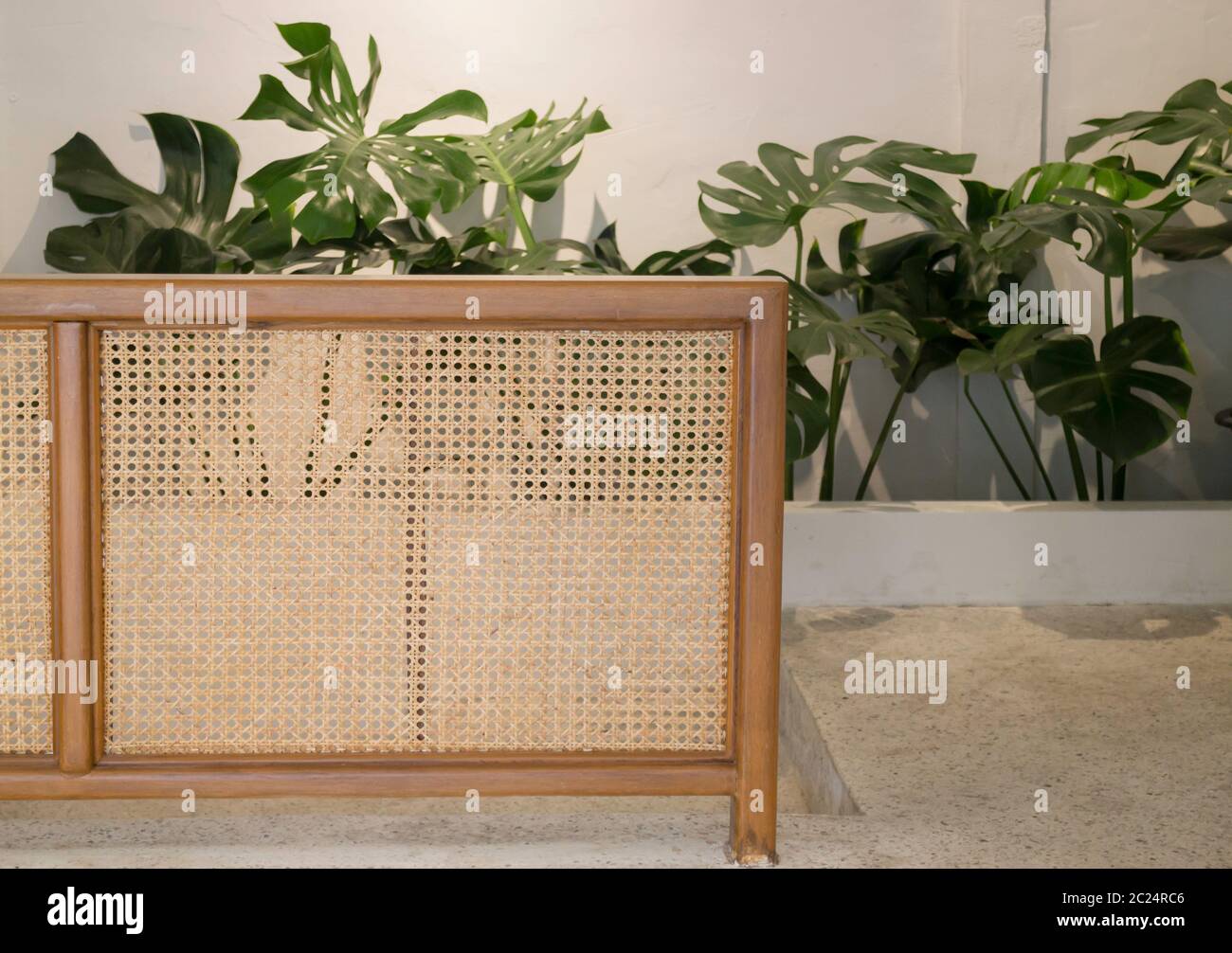 Tropical green plant pot interior, stock photo Stock Photo - Alamy