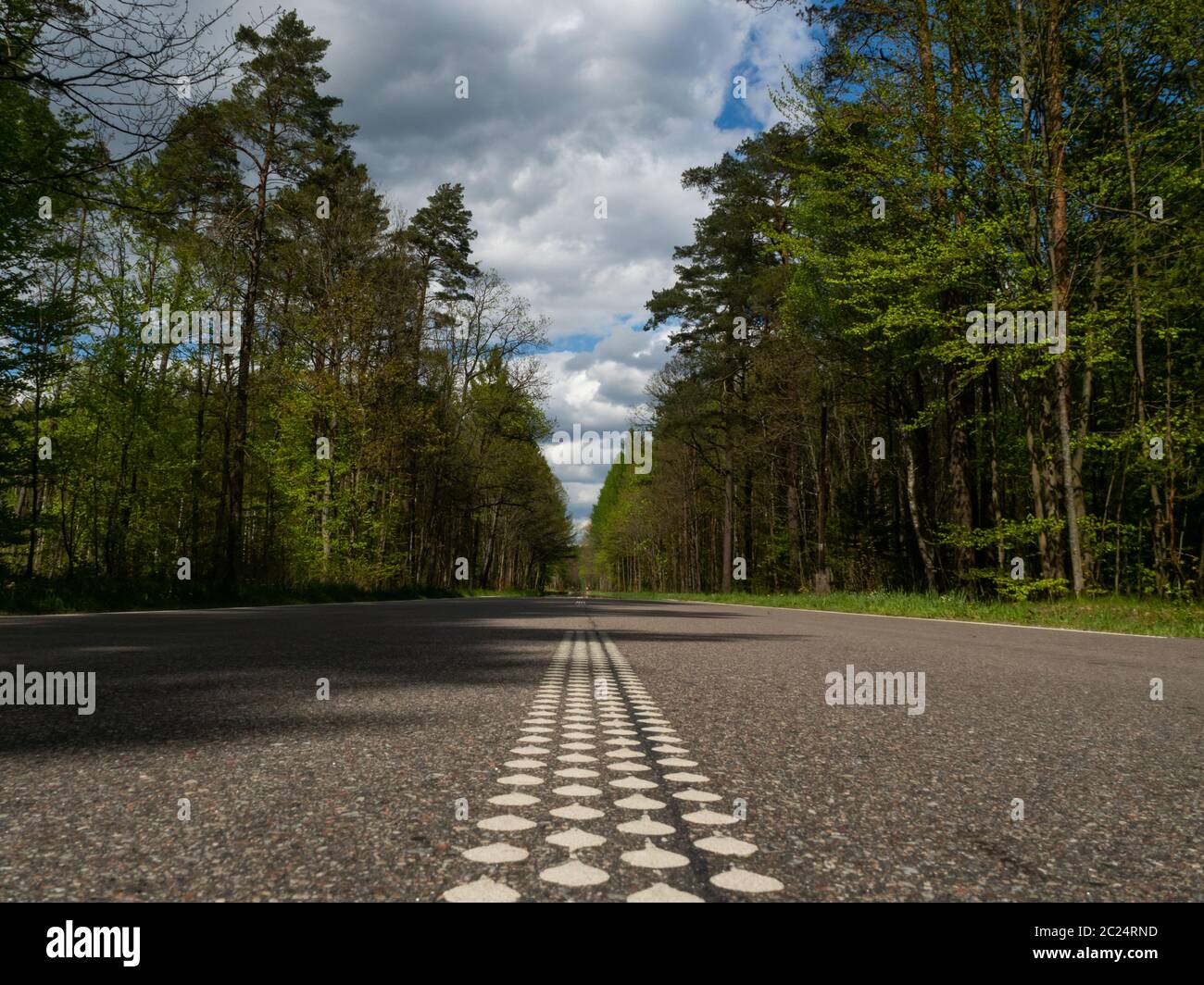 Asphalt road through the deep forest. Nature background. Poland Stock ...