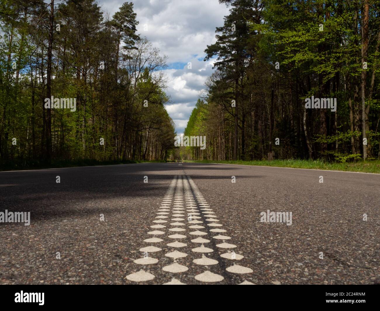 Asphalt road through the deep forest. Nature background. Poland Stock ...