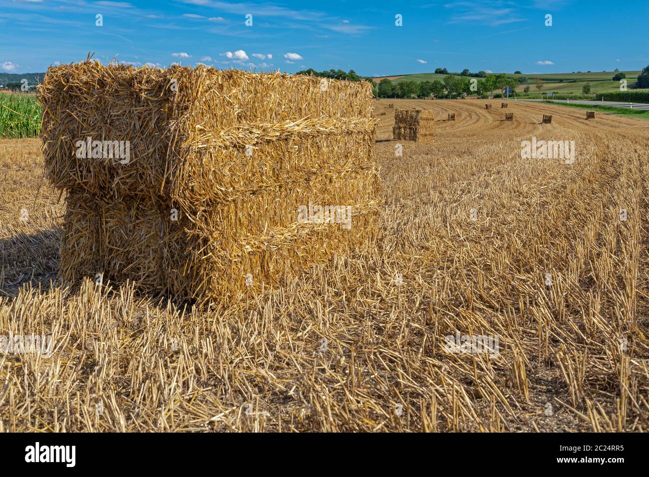 Square hay bales in field hi-res stock photography and images - Alamy
