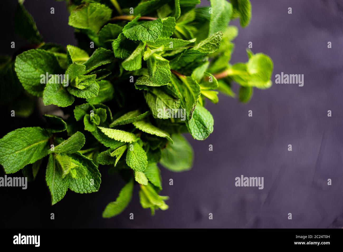 Organic mint leaves Stock Photo - Alamy