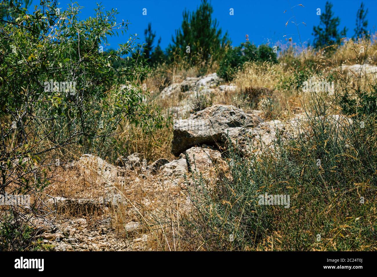 Jerusalem Israel June 21, 2019 View of the landscape and nature at ...
