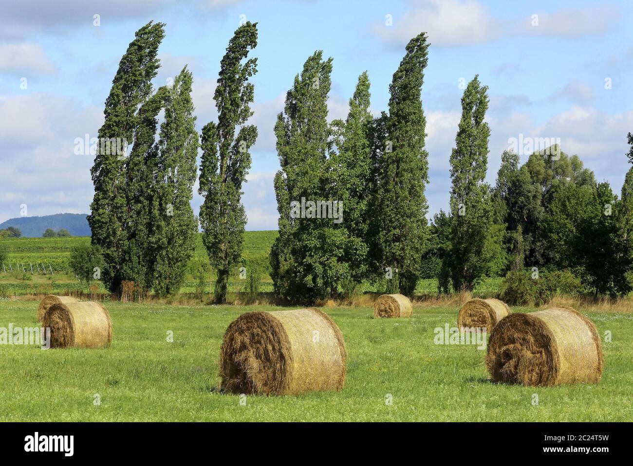 Straw bales bale hi-res stock photography and images - Alamy