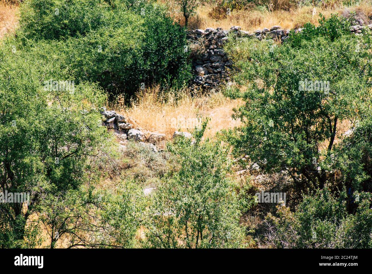 Jerusalem Israel June 21, 2019 View of the landscape and nature at ...