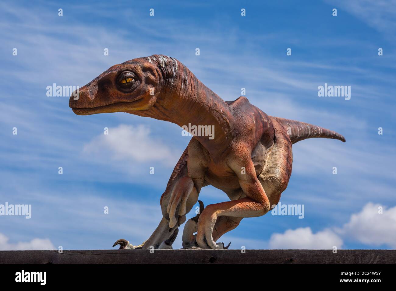 Raptor dinosaur hi-res stock photography and images - Alamy