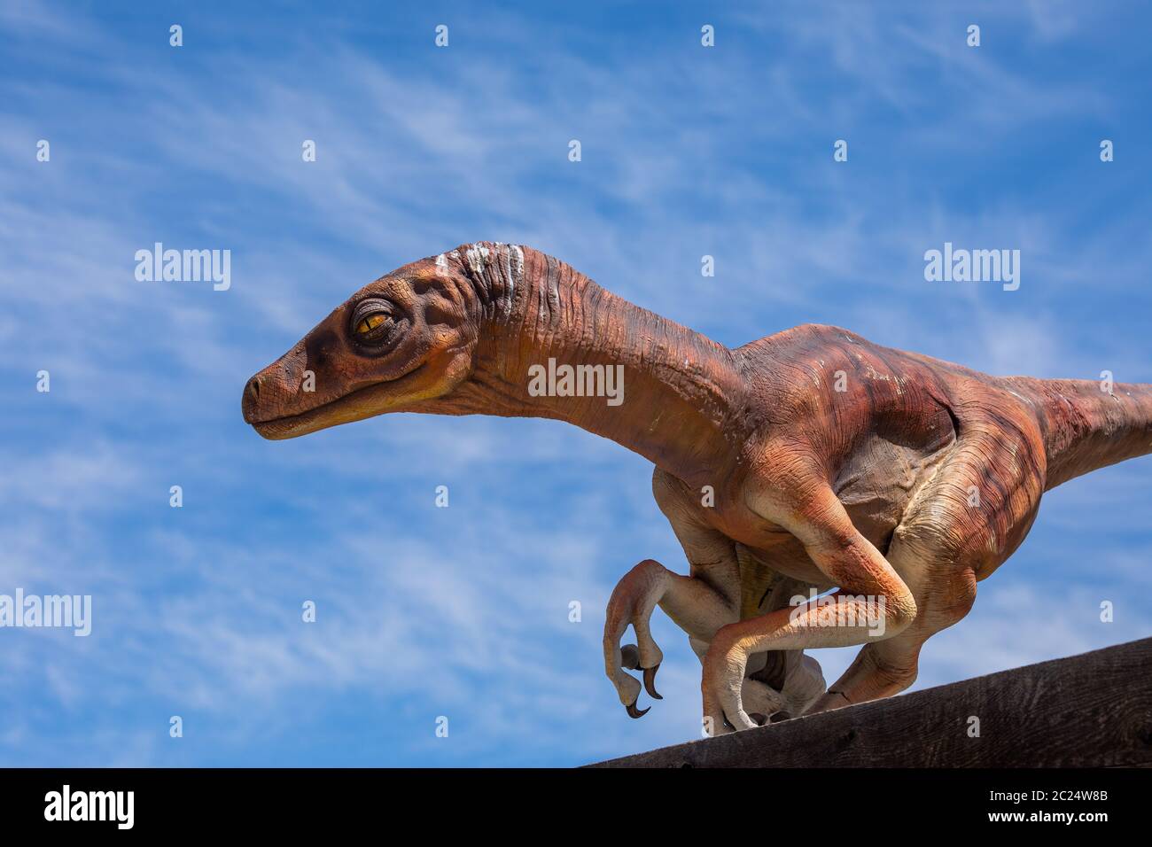 Dino dinosaur hi-res stock photography and images - Alamy