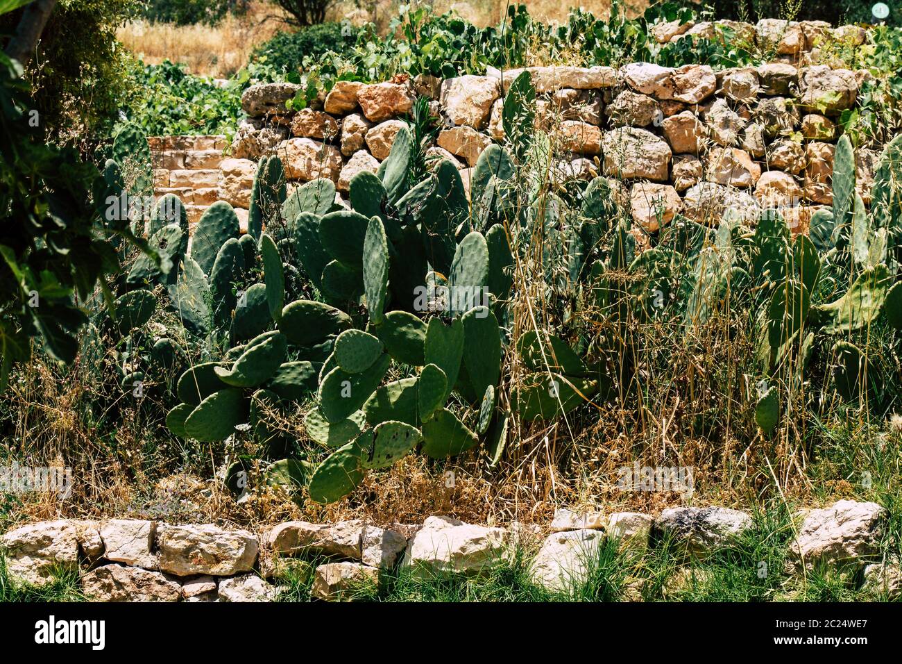 Jerusalem Israel June 21, 2019 View of the landscape and nature at ...