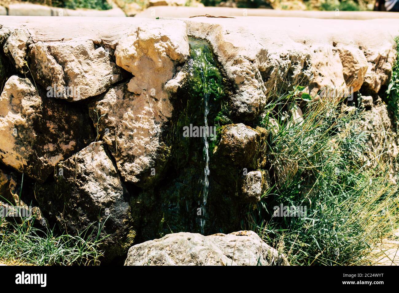Jerusalem Israel June 21, 2019 View of the landscape and nature at ...