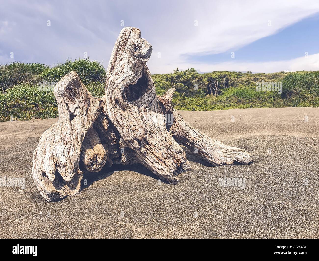 Pier stump hi-res stock photography and images - Alamy