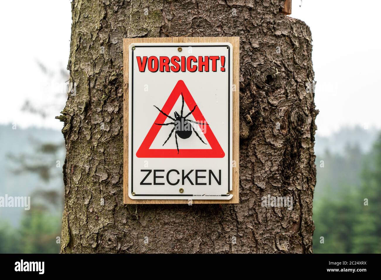 Warning sign for ticks, in the Arnsberg Forest, near Hirschberg ...