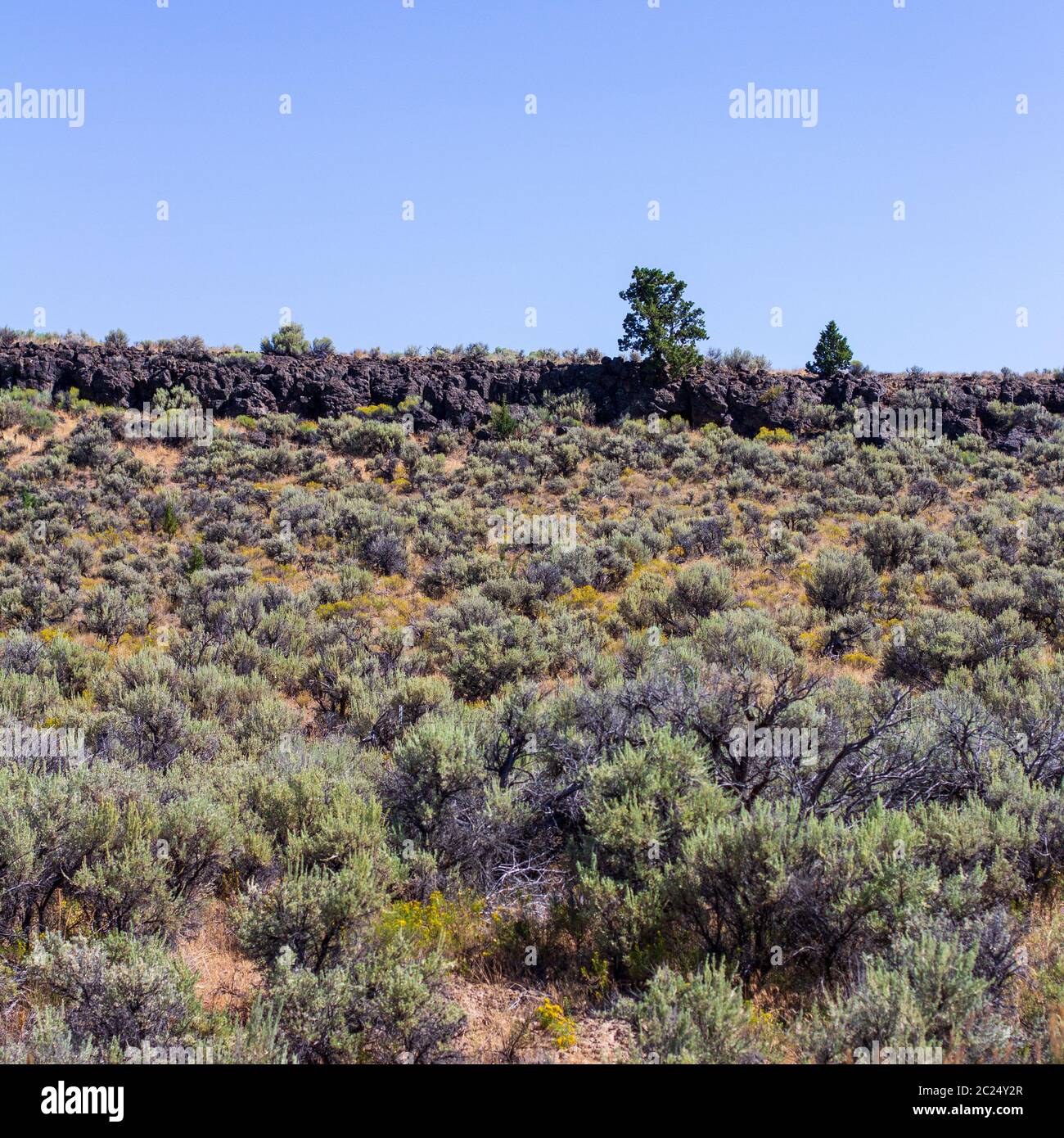 High sagebrush desert hi-res stock photography and images - Alamy
