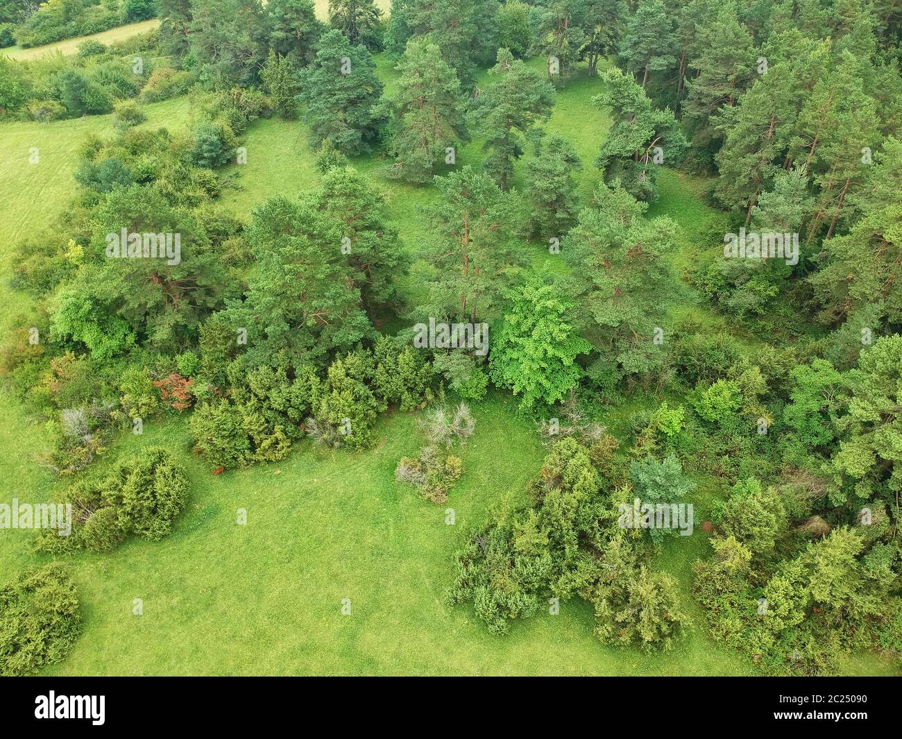 aerial view trees Stock Photo - Alamy