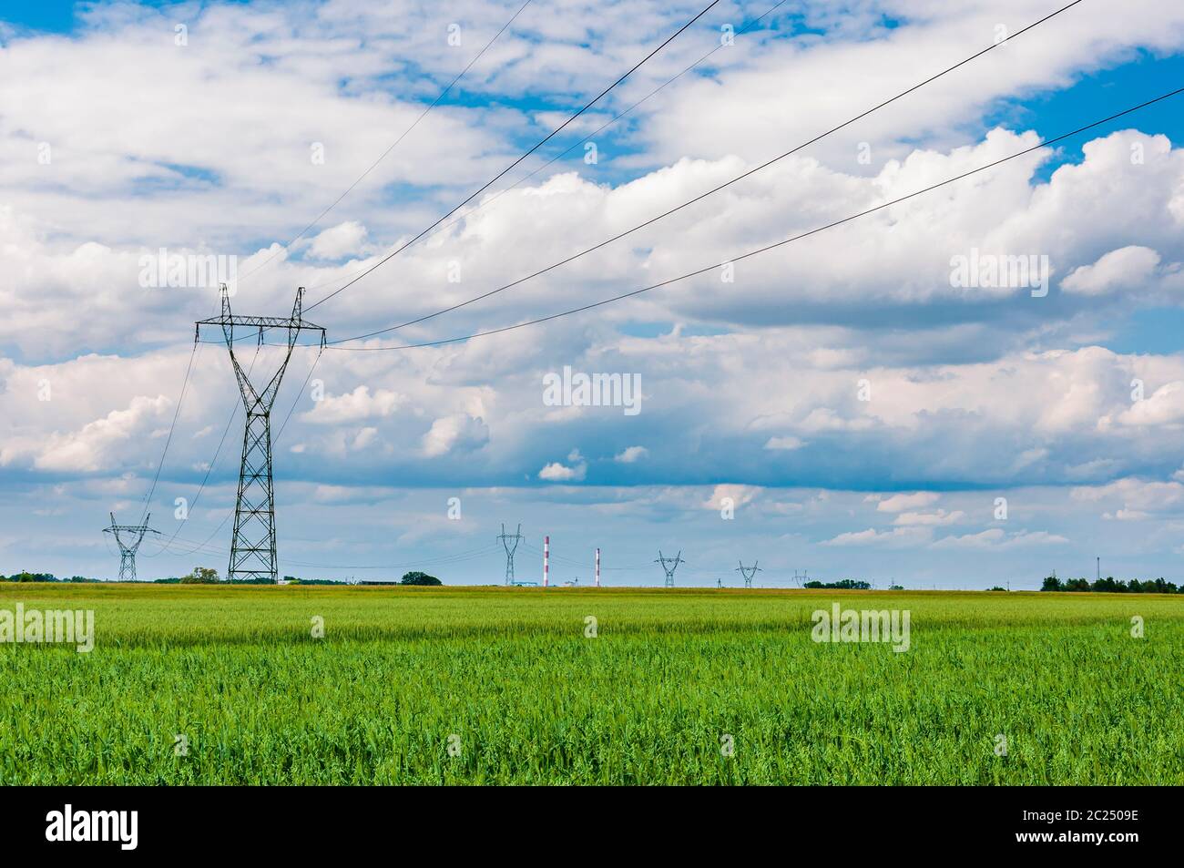 View of power poles over arable fields connected by cables with the ...