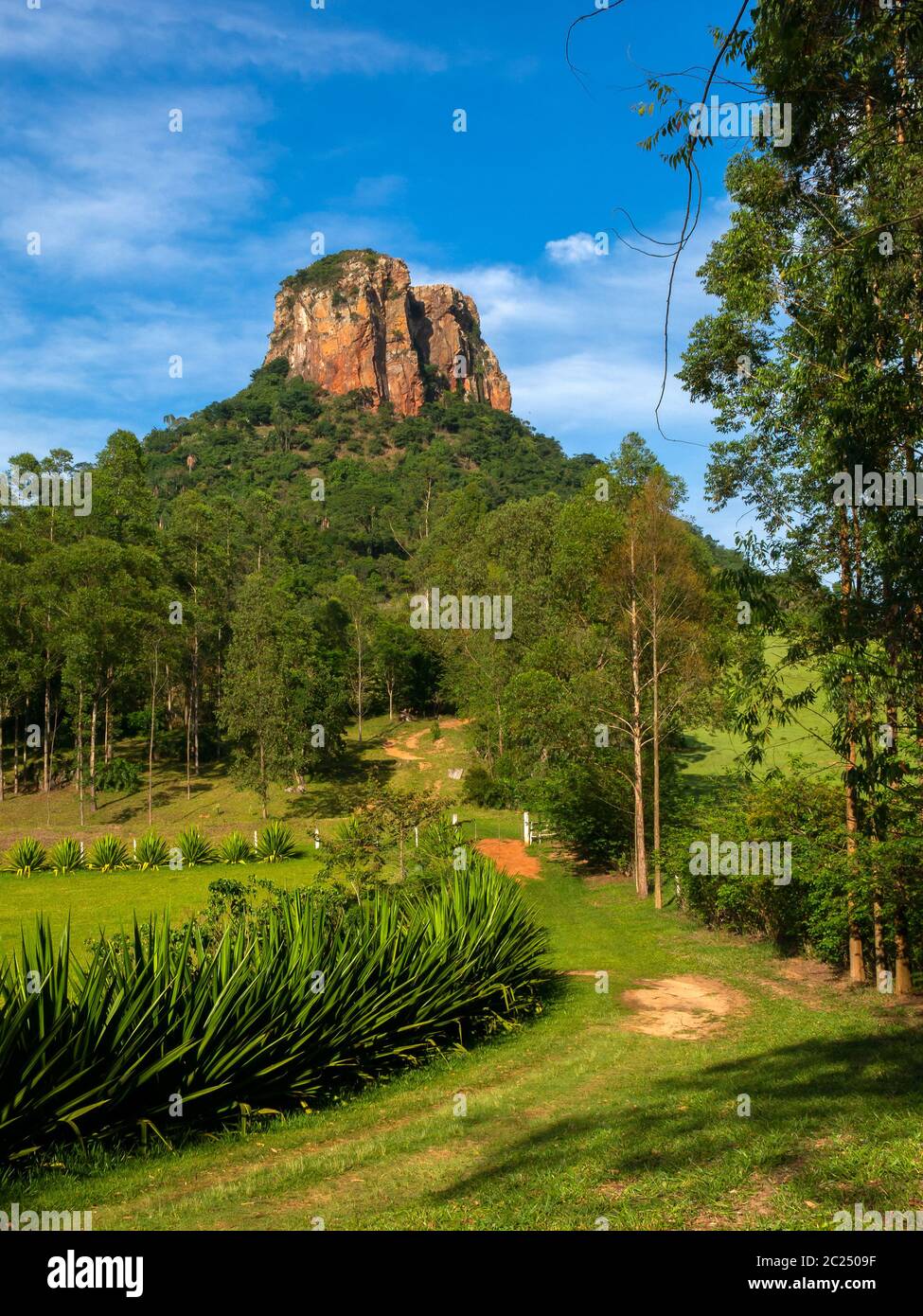 Trail way to sandstone rock in up-country Sao Paulo - Brazil ...