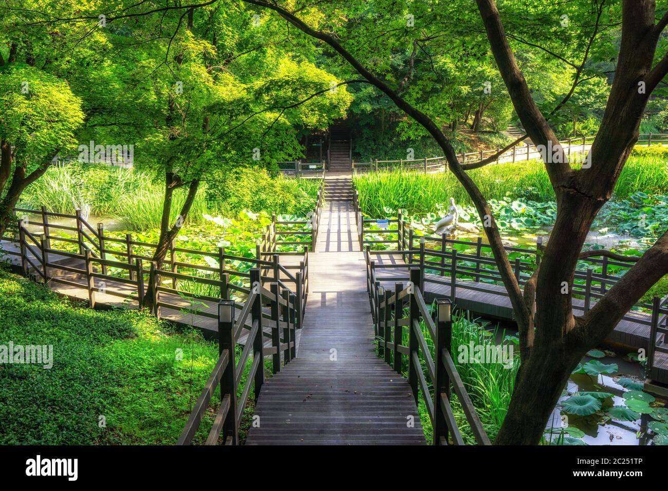 acha mountain ecological park pond with elevated trails in gwangjingu ...