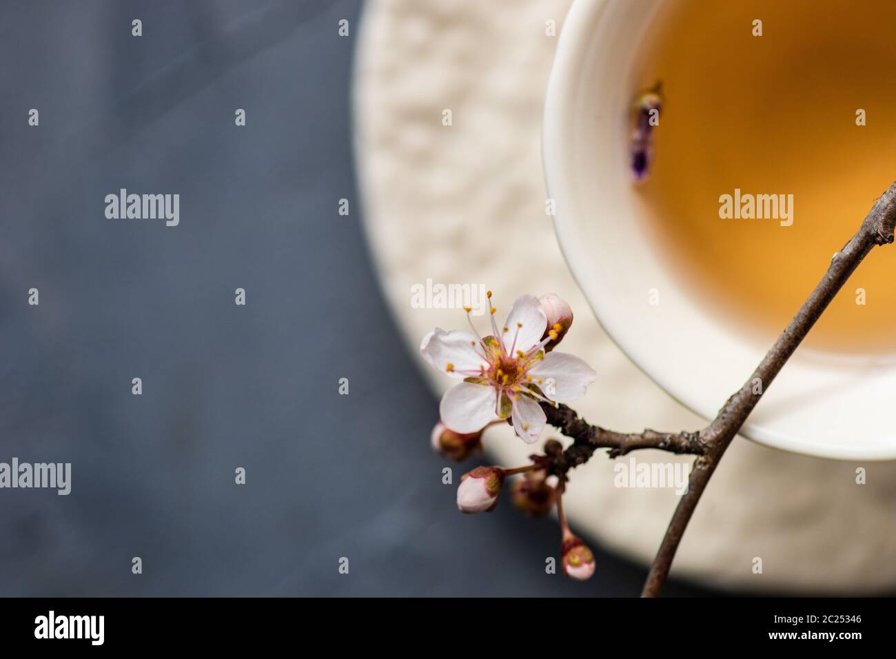 Cup of tea and blooming tree Stock Photo - Alamy