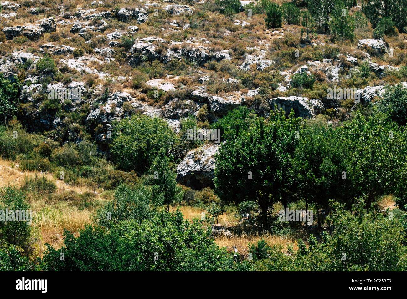 Jerusalem Israel June 21, 2019 View of the landscape and nature at ...
