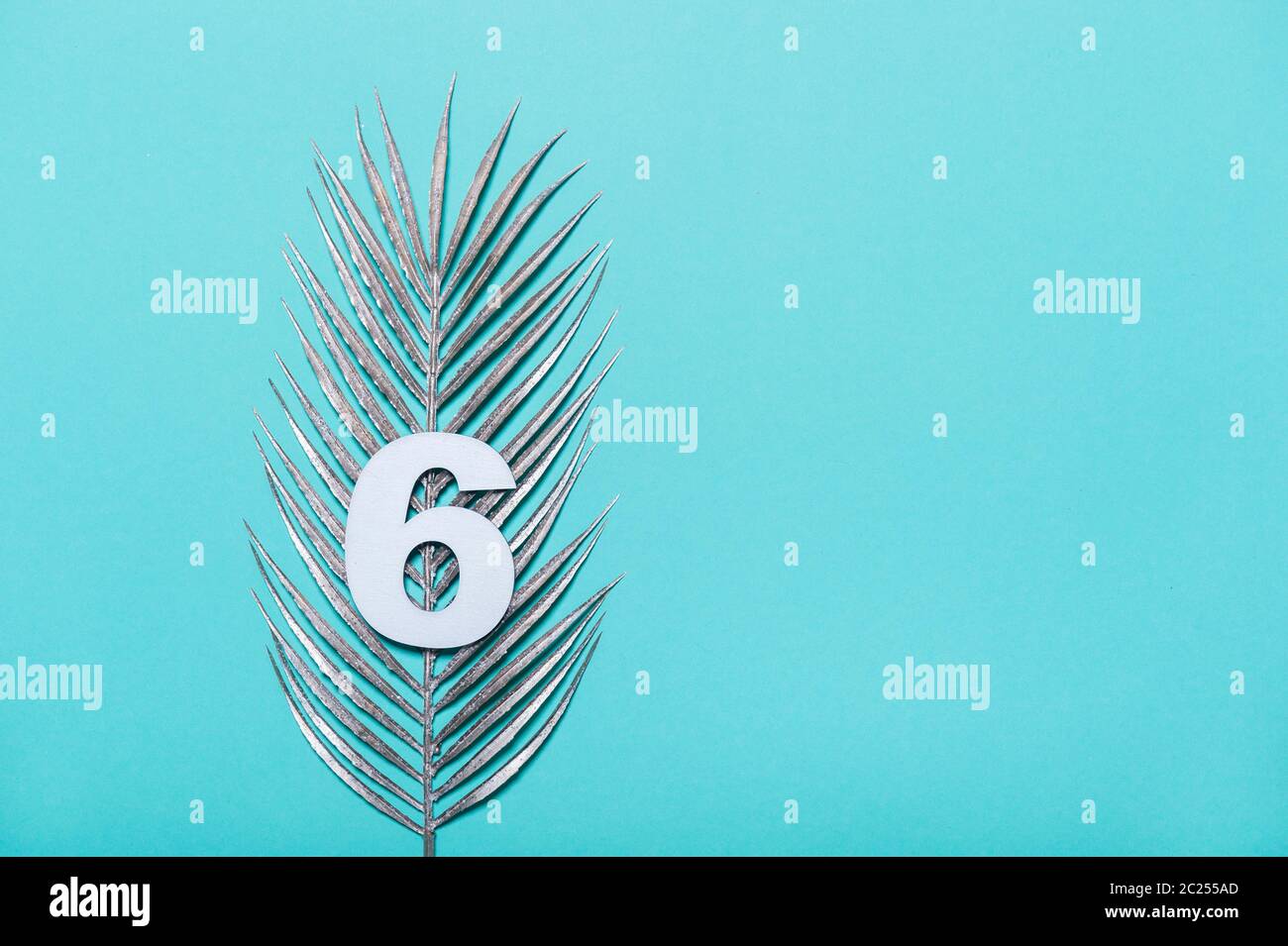 Number six shape with silver palm leaves on blue background. Summer ...
