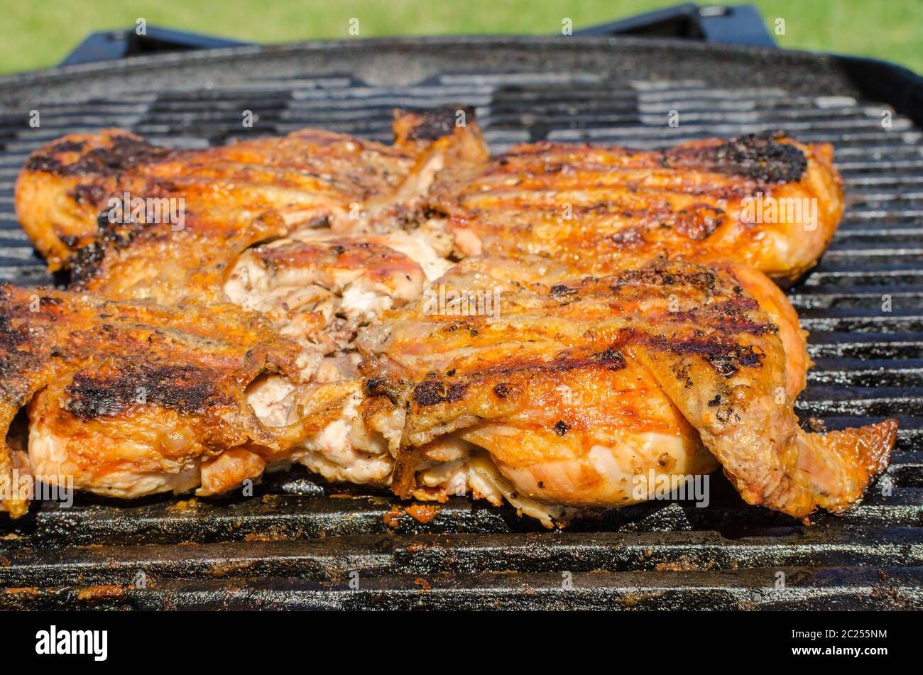 Chicken under a brick with panzanella salad. Pollo al mattone Stock ...