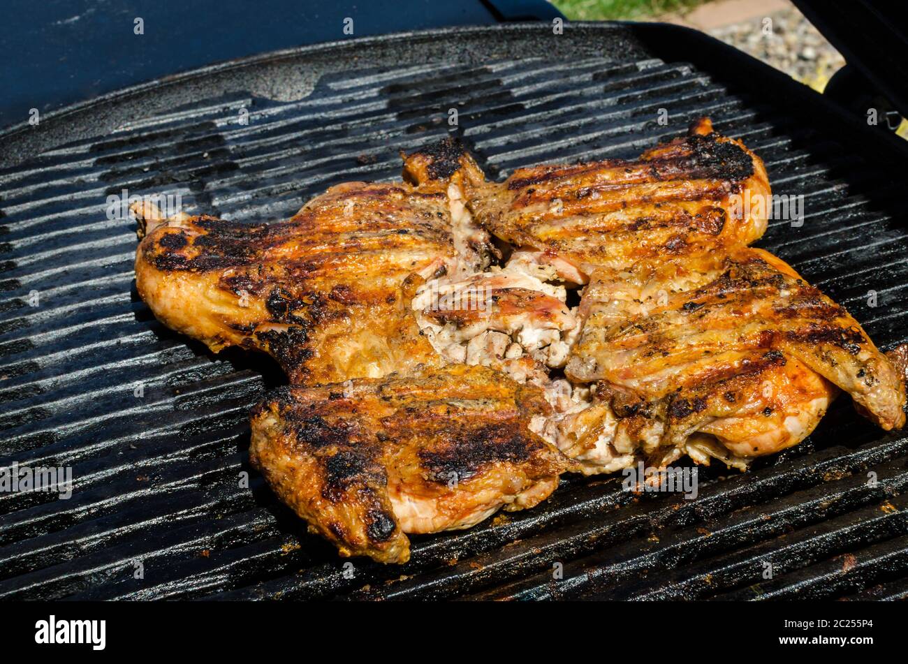 Chicken under a brick with panzanella salad. Pollo al mattone Stock ...