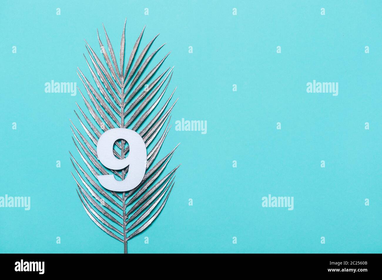 Number nine shape with silver palm leaves on blue background. Summer ...