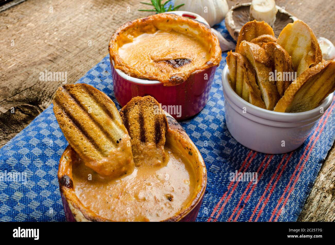 Tomato and cheese dip baked with crispy garlic panini toast with herbs ...