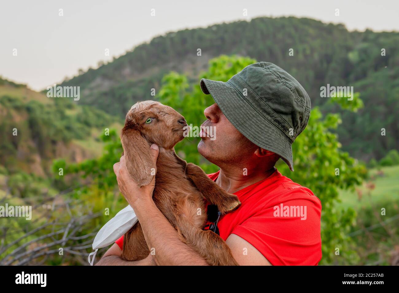 Man hugs brown baby goat with rural background Stock Photo - Alamy
