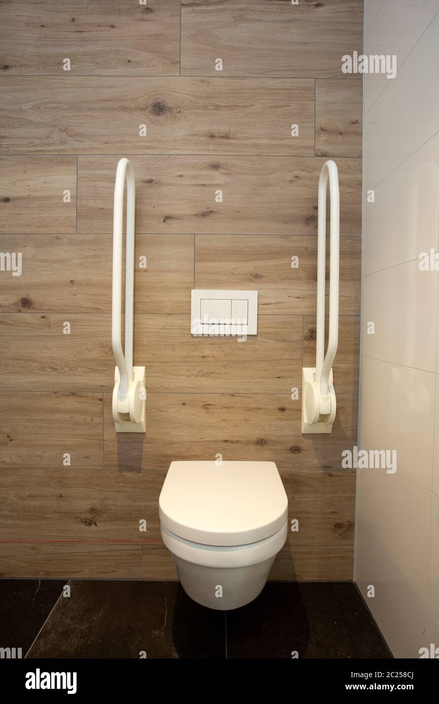 Inside disable toilet. toilet with grab bars for senior or a ...