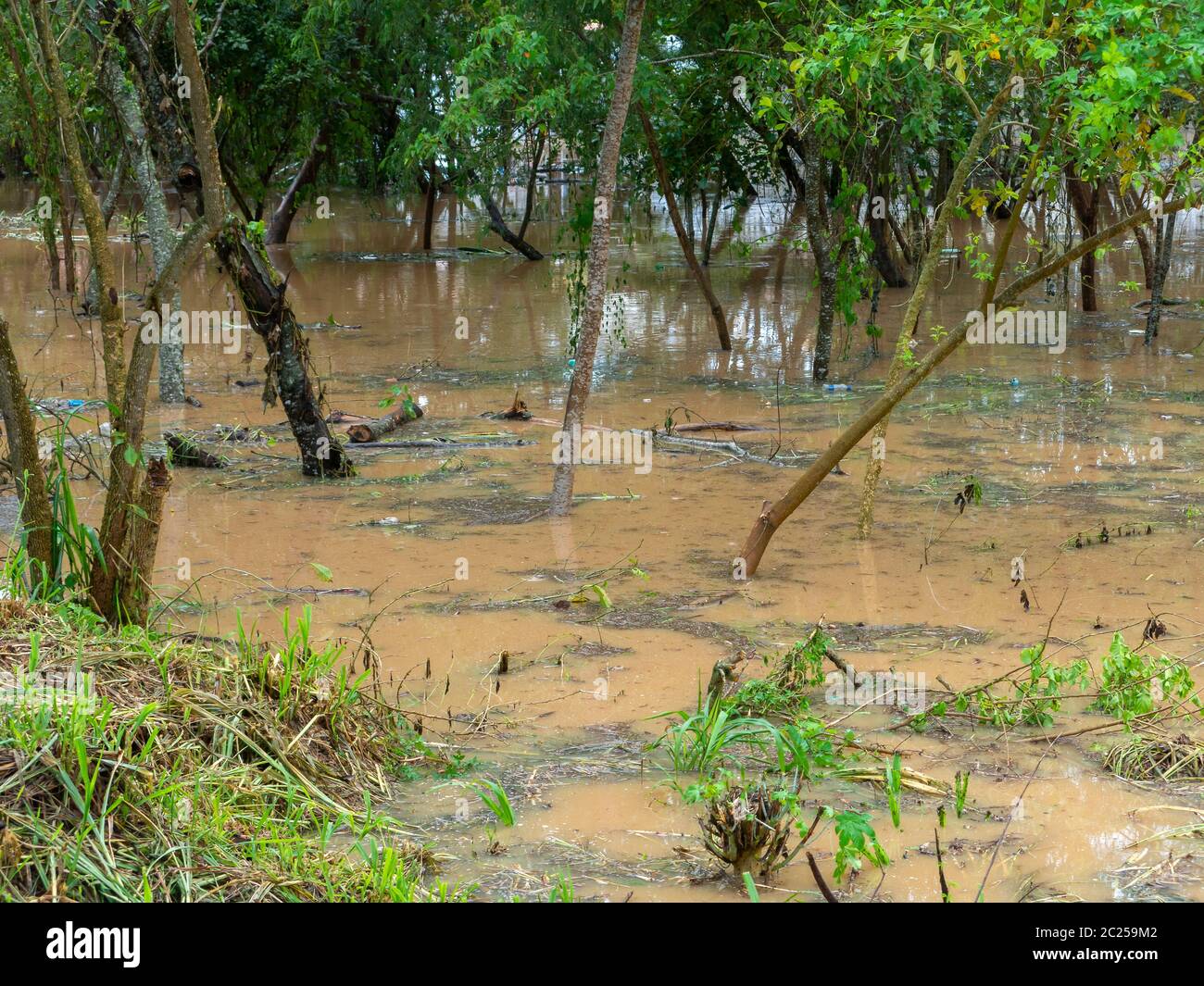 Capivari river hi-res stock photography and images - Alamy