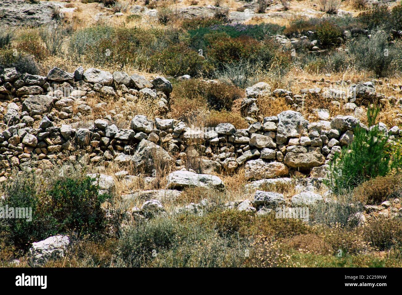 Jerusalem Israel June 21, 2019 View of the landscape and nature at ...