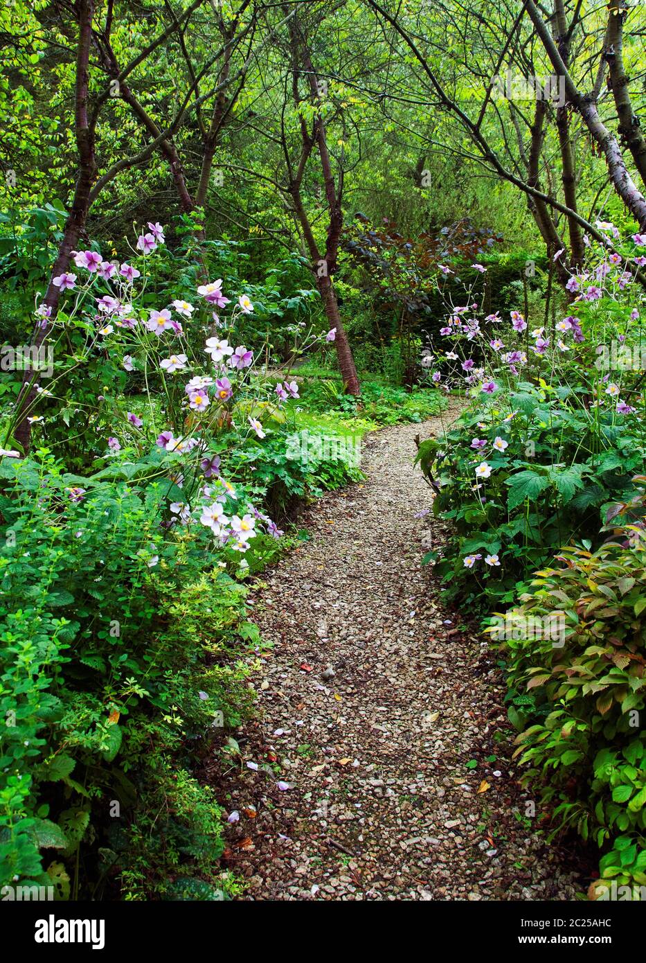 Woodland Garden Path High Resolution Stock Photography and Images - Alamy