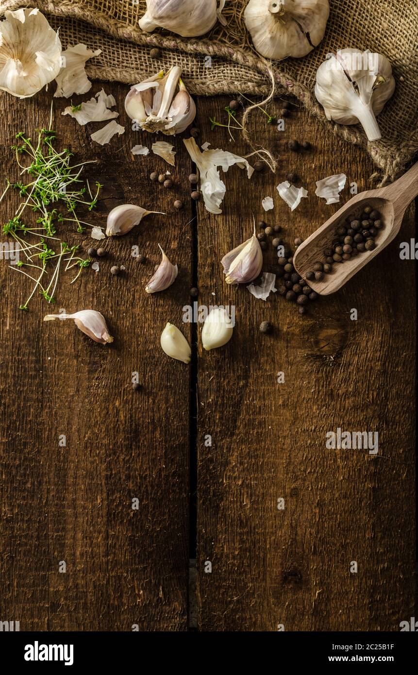 Domestic bio garlic - Czech, spices and fresh microgreens plants Stock ...