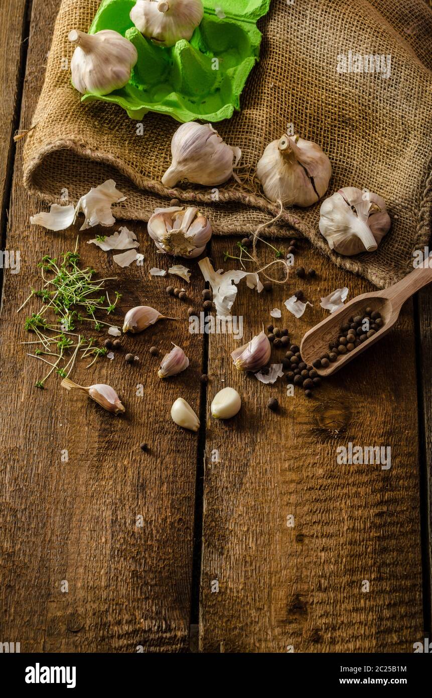 Domestic bio garlic - Czech, spices and fresh microgreens plants Stock ...