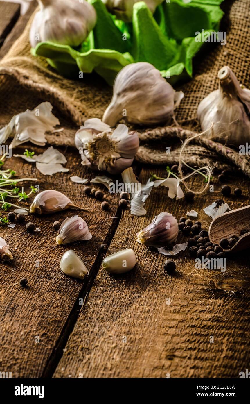 Domestic bio garlic - Czech, spices and fresh microgreens plants Stock ...