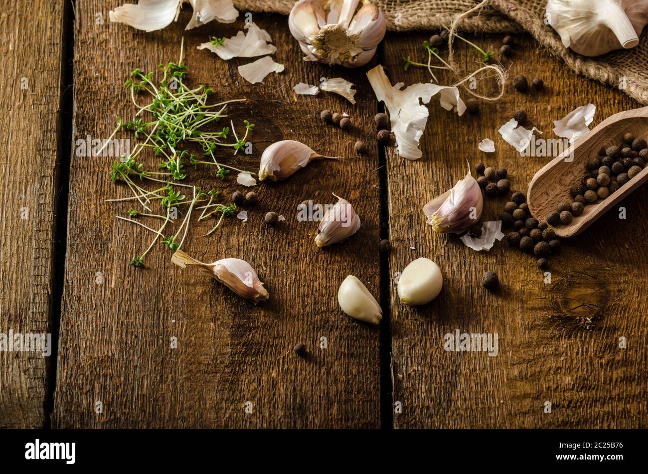 Domestic bio garlic - Czech, spices and fresh microgreens plants Stock ...