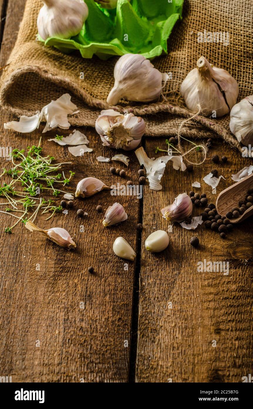 Domestic bio garlic - Czech, spices and fresh microgreens plants Stock ...