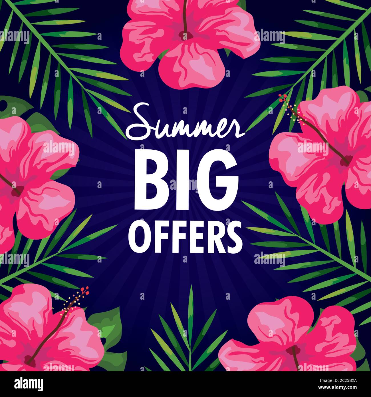 Summer offers Stock Vector Images - Alamy